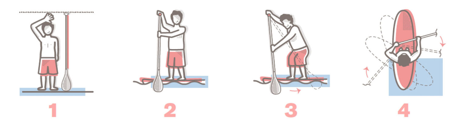 Storleksguide paddlar - Kajaktiv - Sveriges Paddlingcenter